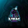 USM Gaming