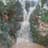 منوعات Mohmad