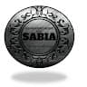 South African Business Intelligence Agency