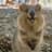 Wynand Malan