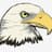 Eagle Eye Music