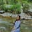 Shubhi