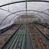 autonomie en permaculture