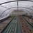 autonomie en permaculture