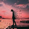 ali_ sibani
