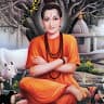 Phani Krishna Varma Manthena