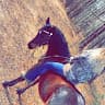 Ashlyn Blubaugh