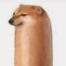 Nutkic