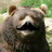 MoustacheBear