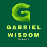 Gabriel Wisdom