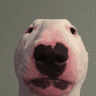 Joel R