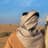 Qassim