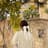 Sibar.3