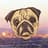 TheLazyPug