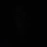 The Shadow