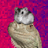 Iggy&HamHam
