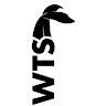 whale tail studio