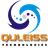 Quleiss Technologies