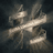 Rómulo Muñoz Zapata