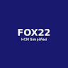 Fox22 Consulting