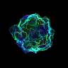 WoxWeb Prime