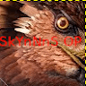 SkYiNnNs OP