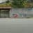 Leko's Sport
