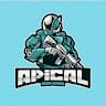APICAL GAMING