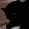 bart