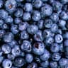 Blueberry King