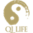 Qi Coil Rife Frequency Machine