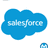 MAYANK SALESFORCE