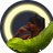 Rehaan Khaan