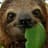 nimble sloth