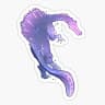 purple spino