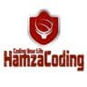 Hamza ZEROUALA