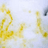 YellowSnow