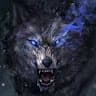 {shadow wolf}