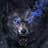 {shadow wolf}