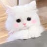 Meriem