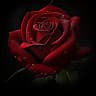 Love Marandi