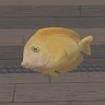 UselessFragments