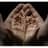 Suat AKSAKAL