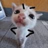Luohino