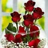 Khalifa Jan