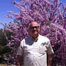 Guy Cohen
