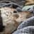 Dustin Surratt