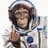 space monkey