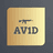 Av1d Gamer