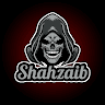 Shahzaib Ali